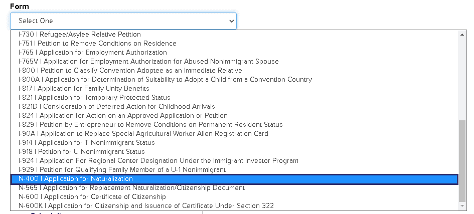 How to Check Case Processing Times - N400 - Immigration for Couples